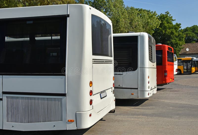 Buses at the bus terminal stock image. Image of white - 77948385