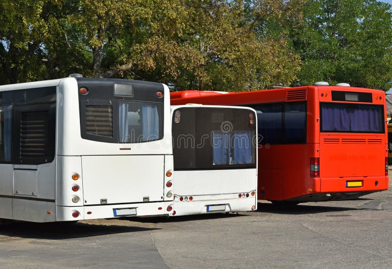 Buses at the bus terminal stock photo. Image of life - 77948470