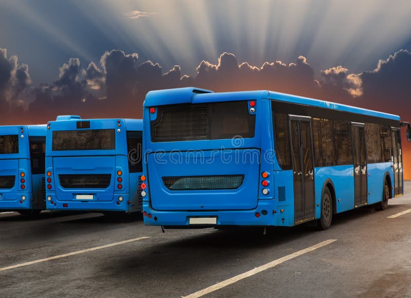 Buses in a row at sunrise stock photo. Image of orange - 203629530