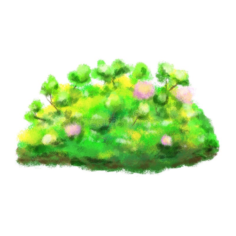 Bush with Branches and Flowers Illustration, Plant Isolated ...