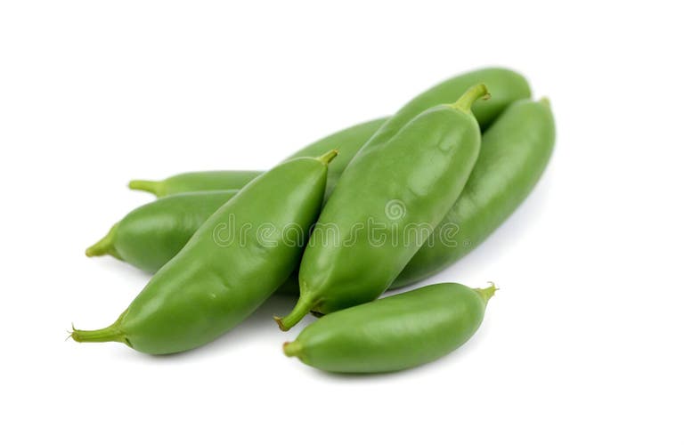 Bush Bean Stock Illustrations – 1,849 Bush Bean Stock Illustrations ...