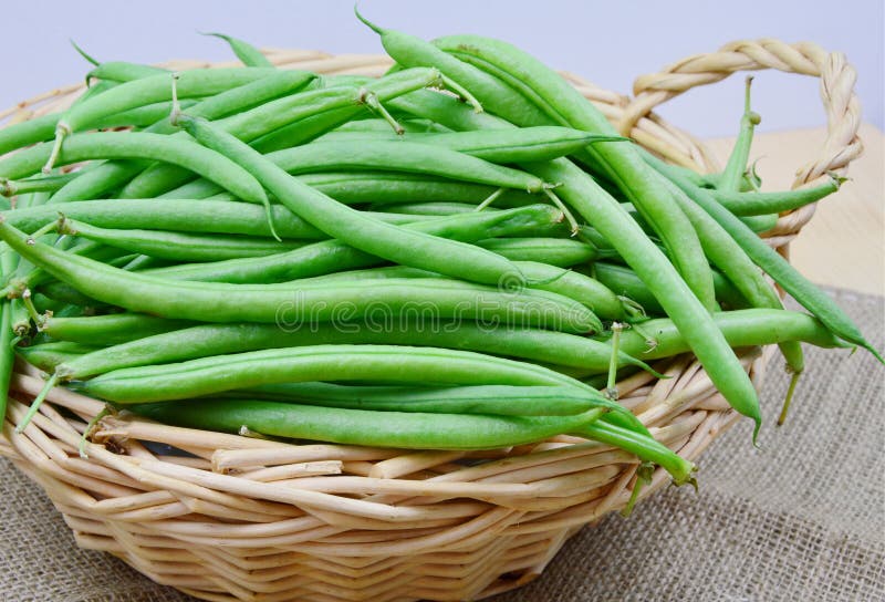 Bush beans stock image. Image of healthy, bunch, vegetarian - 85920567