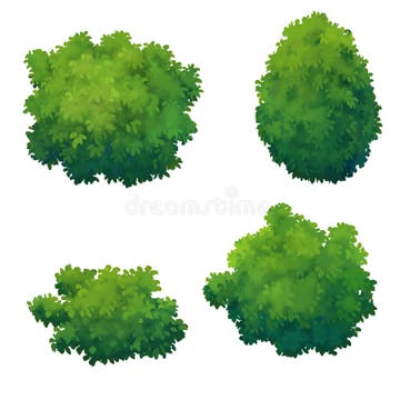 Bramble Bush Stock Illustrations – 714 Bramble Bush Stock Illustrations ...