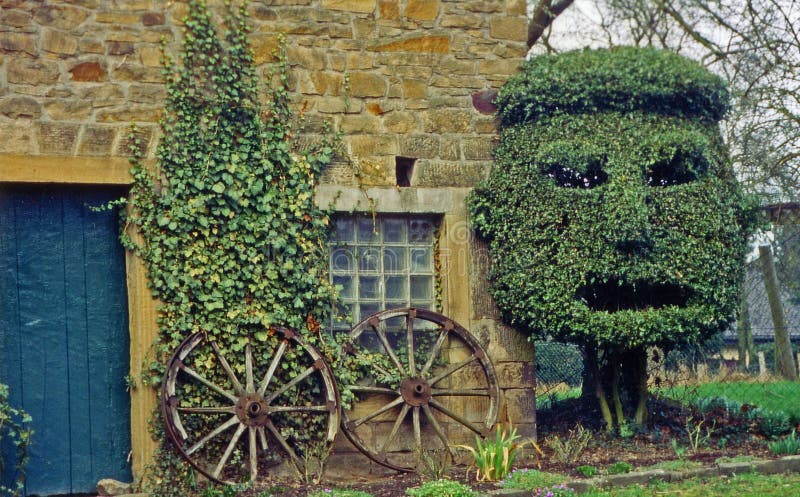 Bush face stock image. Image of farmhouse, wood, green - 24338143