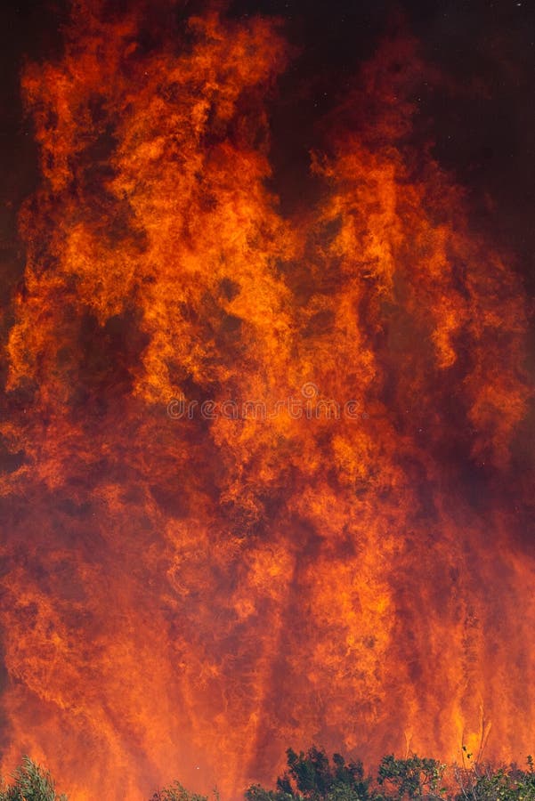 Bush fire stock image. Image of dramatic, veld, bush - 19288183