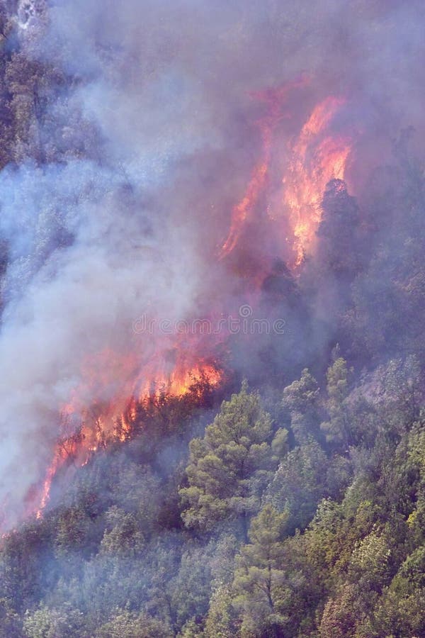 Bush Fire Picture. Image: 26347640