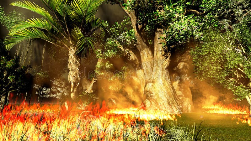 Bush fire stock illustration. Illustration of flame, land - 26511322