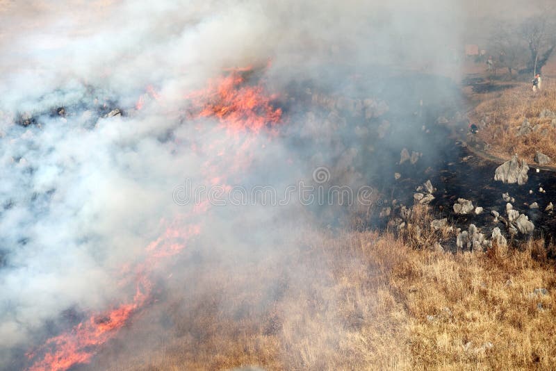 Bush fire stock image. Image of idyll, danger, countryside - 38216221