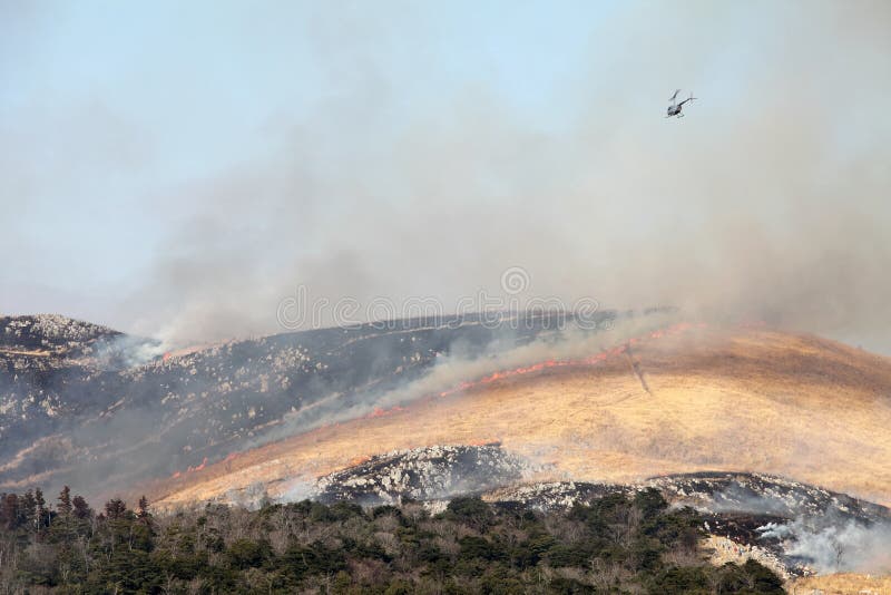 Bush fire stock photo. Image of destroying, farmland - 38216238
