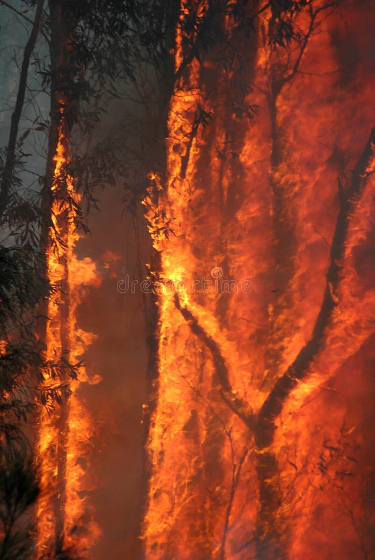 716 Gold Coast Fire Stock Photos - Free & Royalty-Free Stock Photos ...