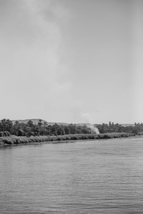 Bush Fire in Africa by the Nile Stock Image - Image of thorn, dust ...