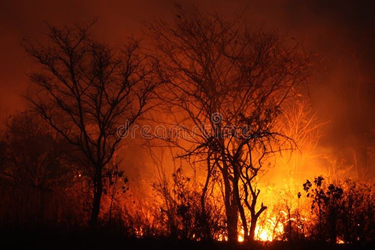 African Bush Fire Night Stock Photos - Free & Royalty-Free Stock Photos ...