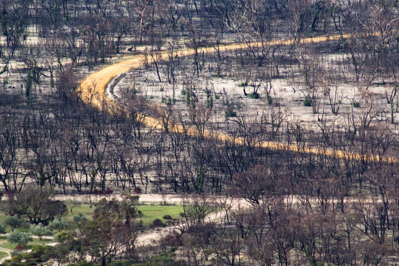 Bush Fire Damage stock image. Image of charr, forest - 42329115