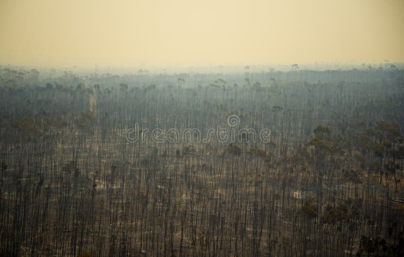 Bush Fire Devastation stock image. Image of destruction - 178505853