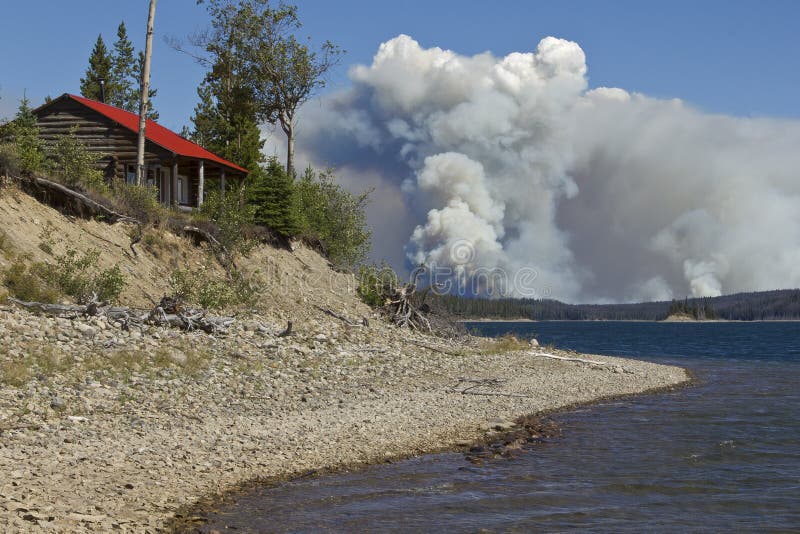 Bush fire stock image. Image of natural, burned, bush - 47479253