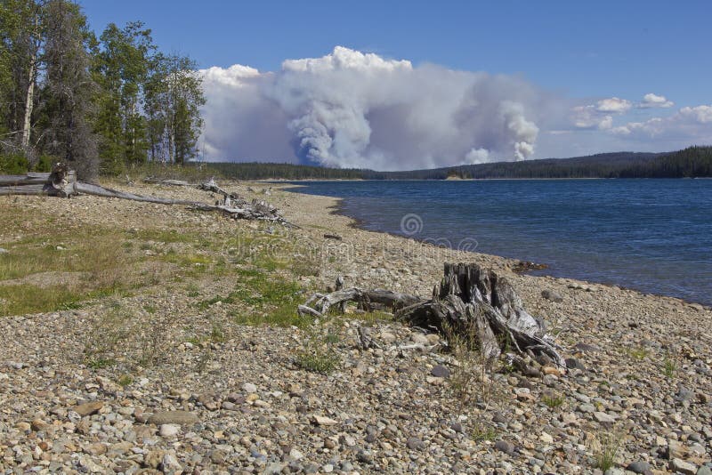 Bush fire stock image. Image of blaze, inferno, damage - 47479101