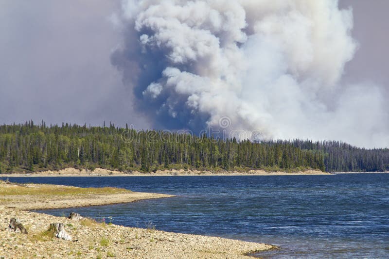 Bush fire stock image. Image of damage, forest, combustion - 47479113