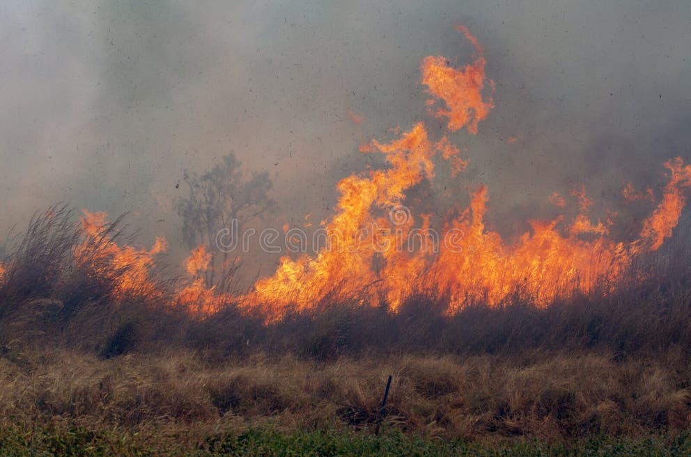 Bush Fire stock image. Image of controlled, combustion - 32804711