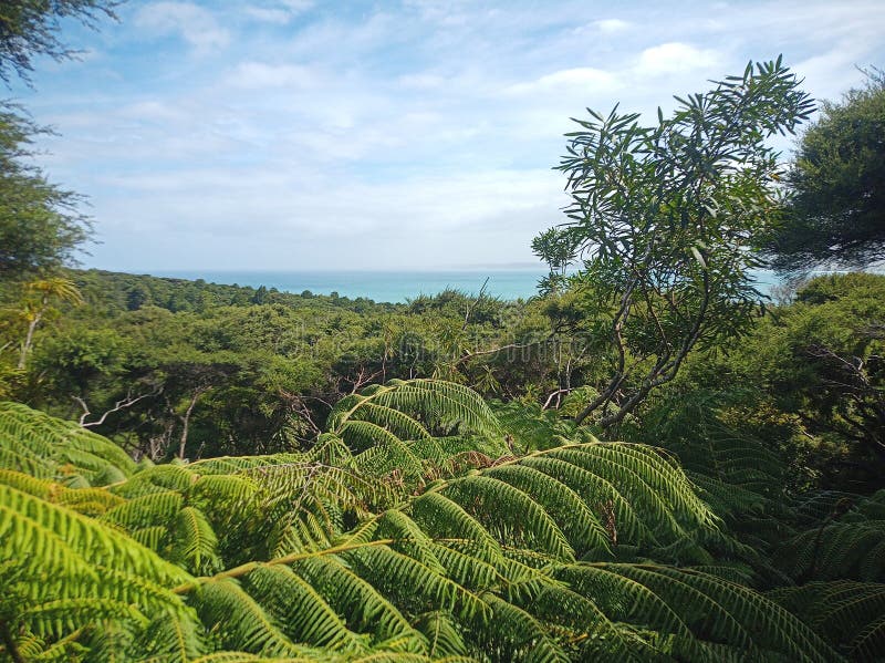 Bush Foliage Scrub Green Trees White Clouds Some Blue Ocean Stock Photo ... Bush Foliage Scrub Green Trees White Clouds Some Blue Ocean Stock Photo ...