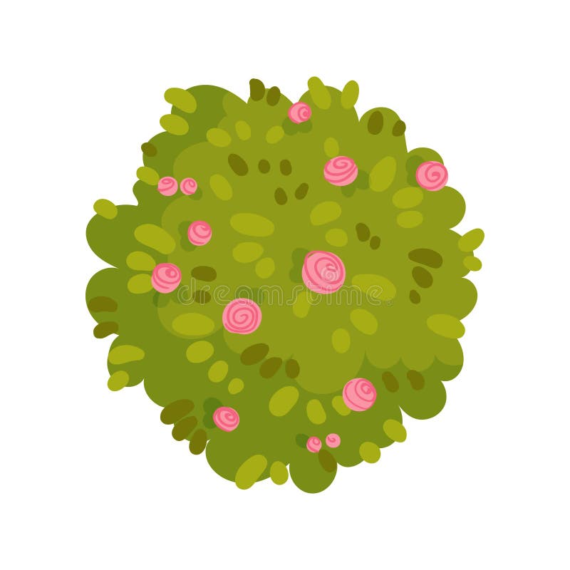 Bush in the Form of a Circle with Flowers. Vector Illustration on White ...