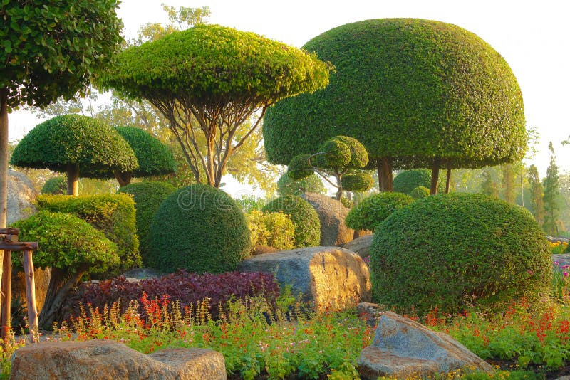 Bush garden stock image. Image of flora, beautiful, garden - 23491939