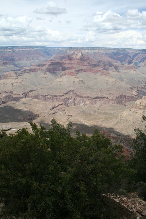 A Bush in the Grand Canyon stock image. Image of blue - 12543577