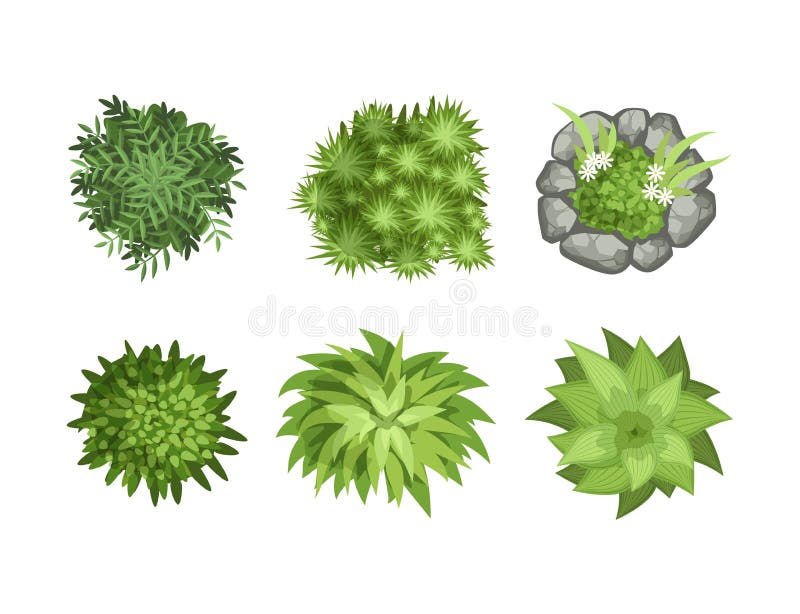 Bush Growth As Landscape Elements Above View Vector Set Stock Vector ...