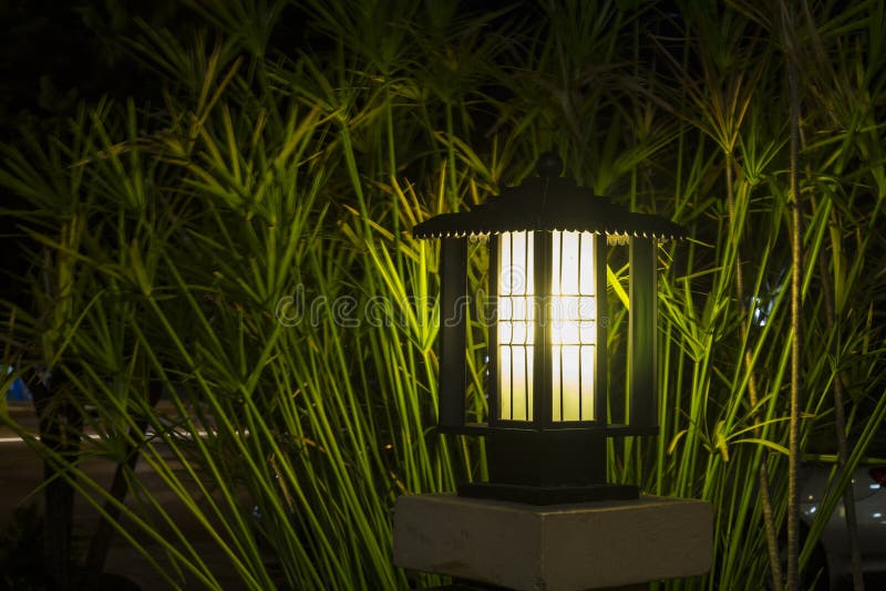 Bush light on the gardens stock image. Image of heat - 57945011