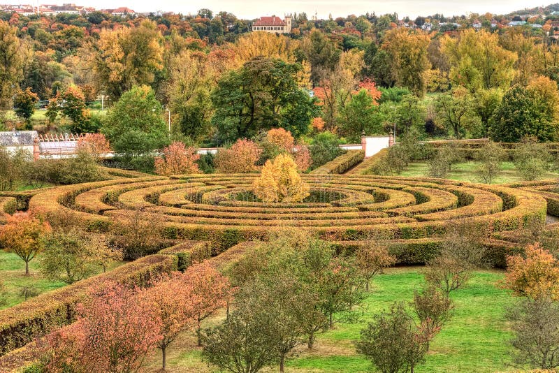 Bush Maze stock image. Image of puzzle, artificial, bush - 5721135