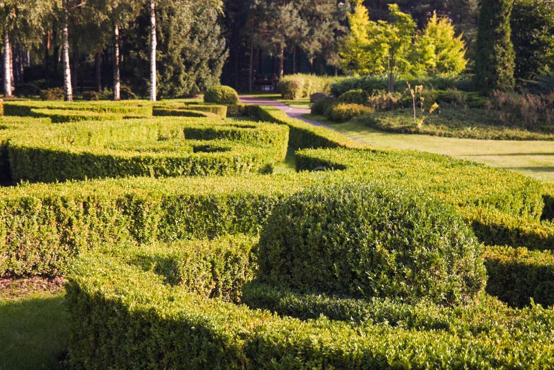 Bush maze in park stock image. Image of plant, labyrinth - 256942793