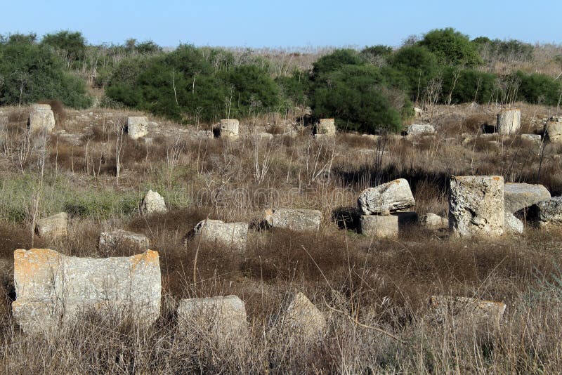 Bush and columns stock photo. Image of street, shadow - 29876310