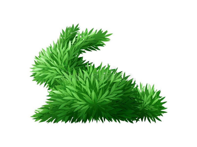 Bush Realistic Illustration Stock Vector - Illustration of nature ...