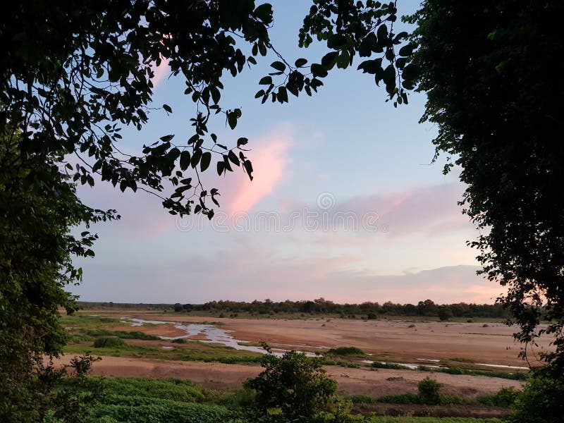 Bush and river landscape stock photo. Image of sides - 176491776