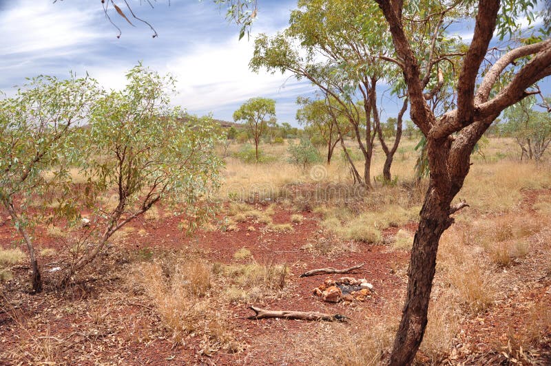 Bush Scenery Picture. Image: 18867695