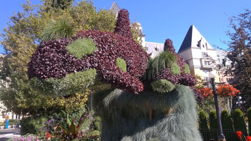 157 Orca Flower Stock Photos - Free & Royalty-Free Stock Photos from ...