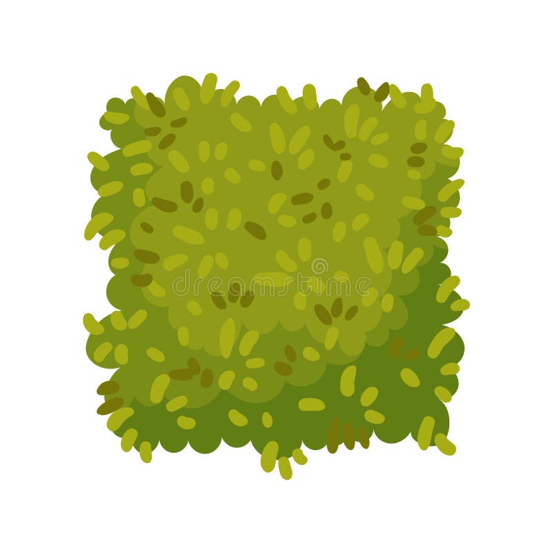 Bush in the Shape of a Rectangle. View from Above. Vector Illustration ...