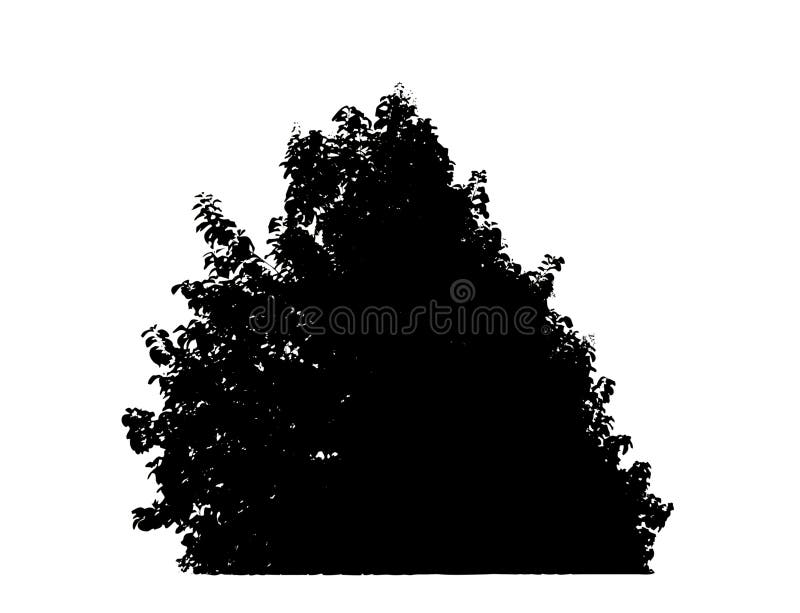 Bush Silhouette for Brush on White Background . Stock Illustration ...