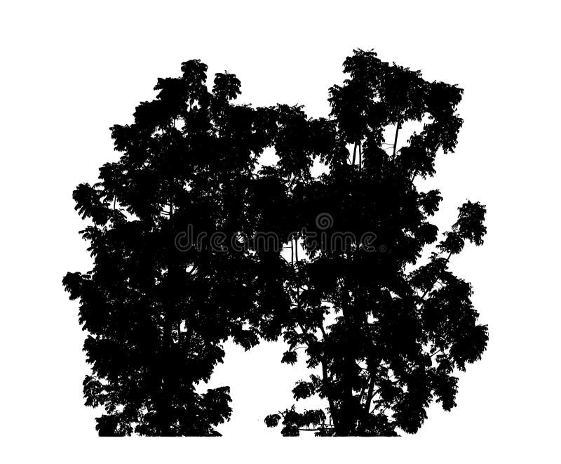 Bush Silhouette for Brush on White Background . Stock Illustration ...