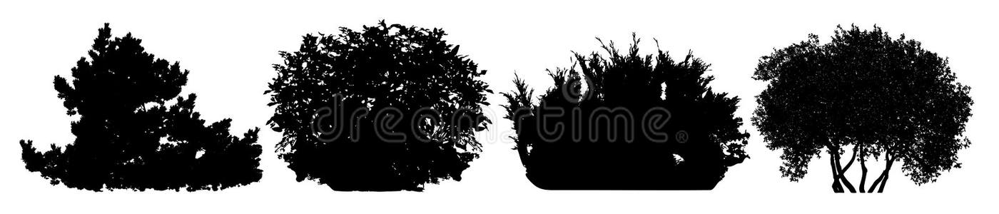 Shrub Stock Illustrations – 236,394 Shrub Stock Illustrations, Vectors ...