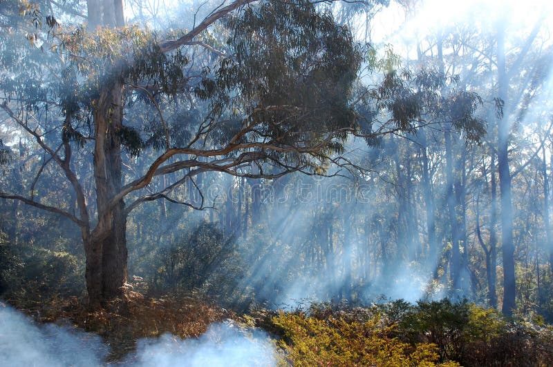 Bush Smoke from Fire in Blue Mountains, Australia Stock Photo - Image ...