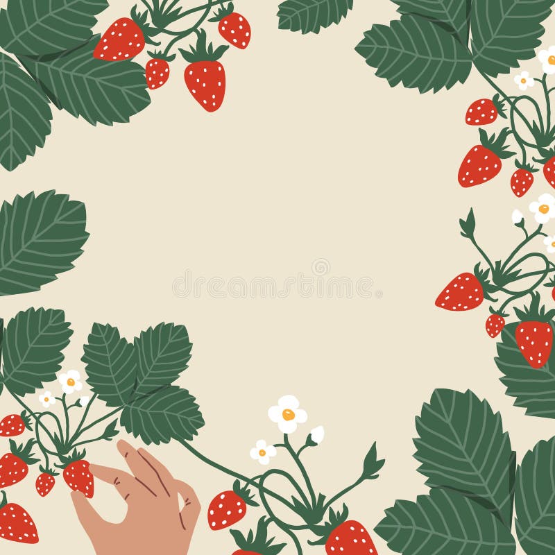Strawberries Picking Stock Illustrations – 845 Strawberries Picking ...