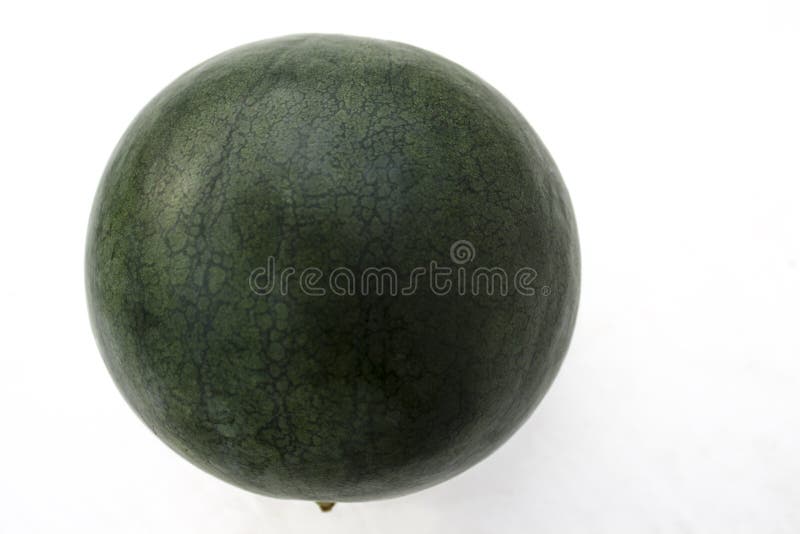 Bush Sugar Baby Watermelon stock image. Image of isolated - 45104871