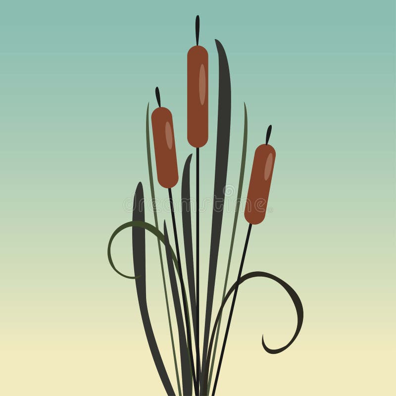 Bush of Swamp Reed on a Lake Stock Illustration - Illustration of ...