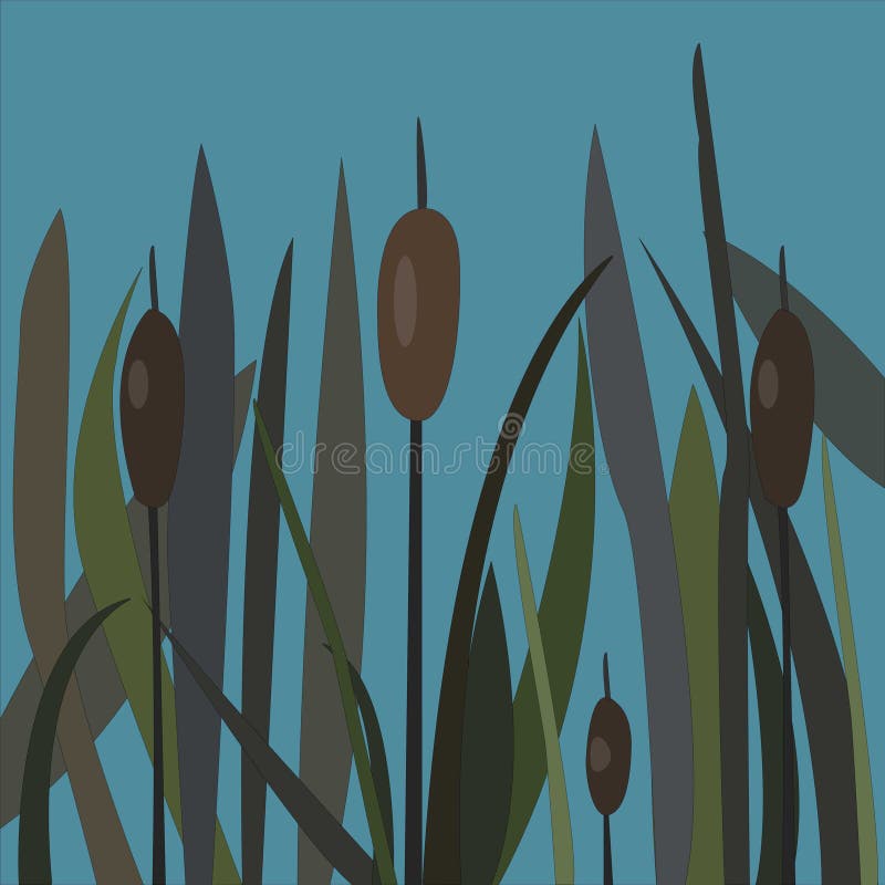 Bush of Swamp Reed on a Lake Stock Illustration - Illustration of flora ...