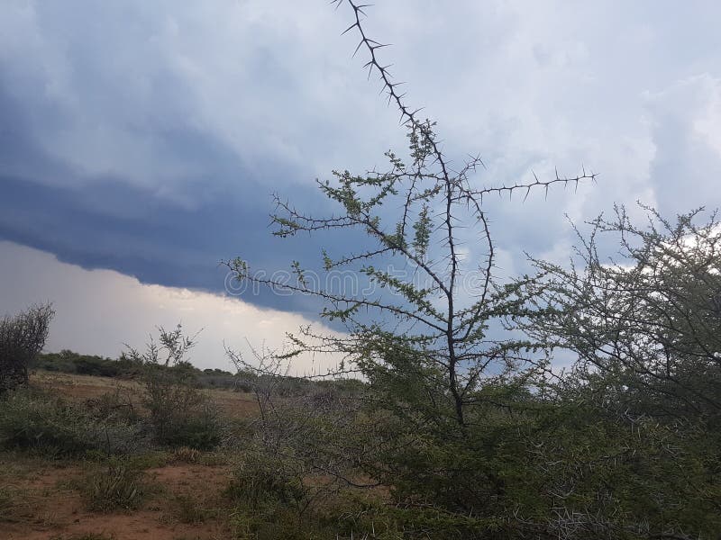 Bushes Blocking Stock Photos - Free & Royalty-Free Stock Photos from ...