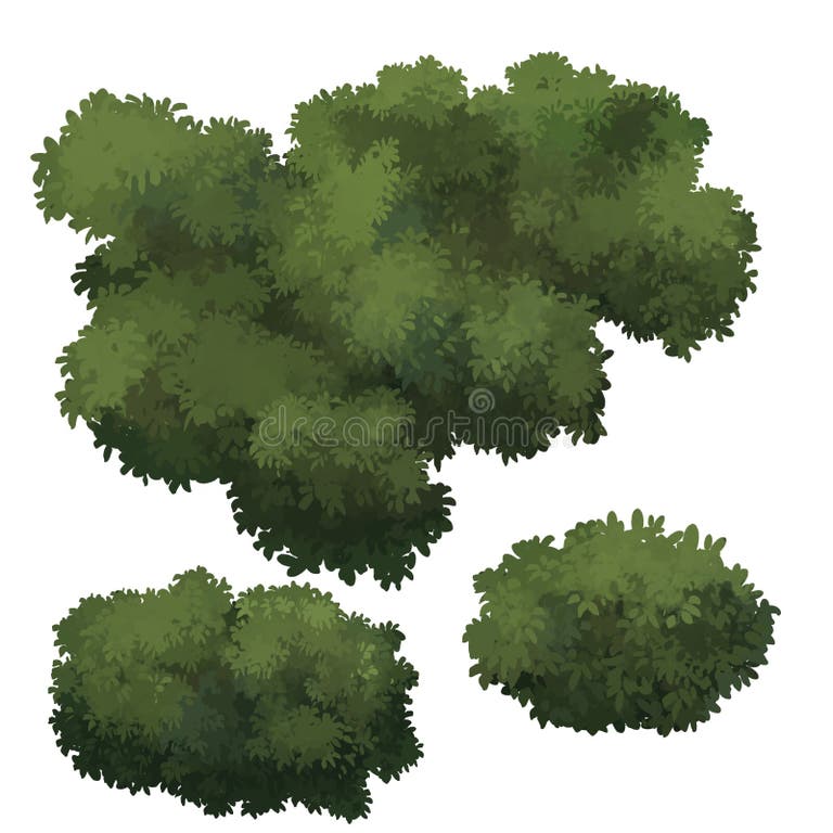 Bush stock illustration. Illustration of shrubbery, outdoor - 70403293