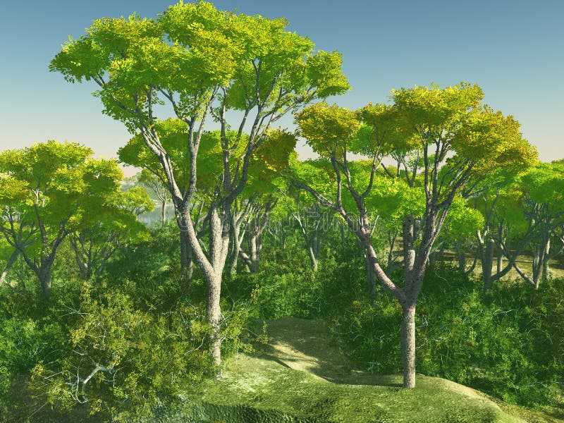 Bush Trees in Australia 3d Rendering Stock Illustration - Illustration ...