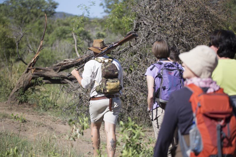 Bush walk editorial stock photo. Image of walk, bush - 75143548