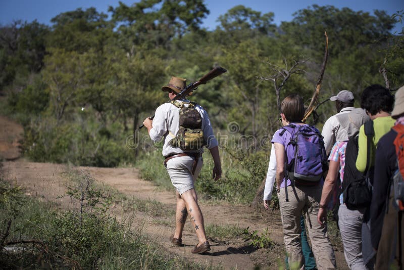 Bush walk editorial photography. Image of tree, national - 75143652