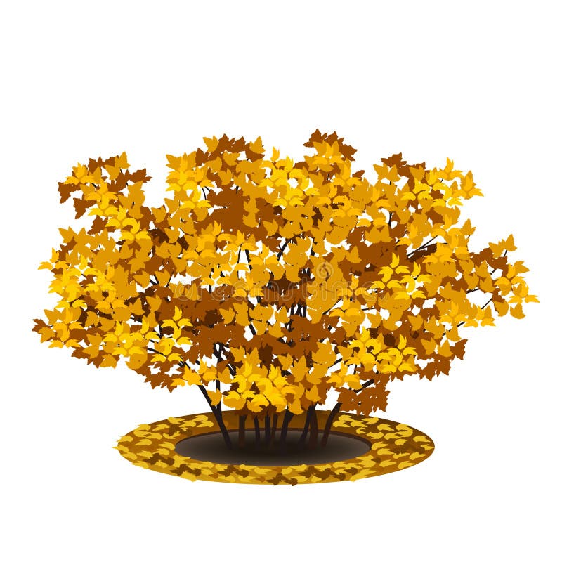 Bush with Yellow Leaves and Shadow Stock Vector - Illustration of ...